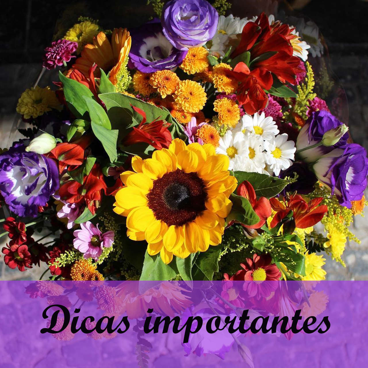 Crisântemo: saiba tudo sobre essa flor - Ikebana Flores