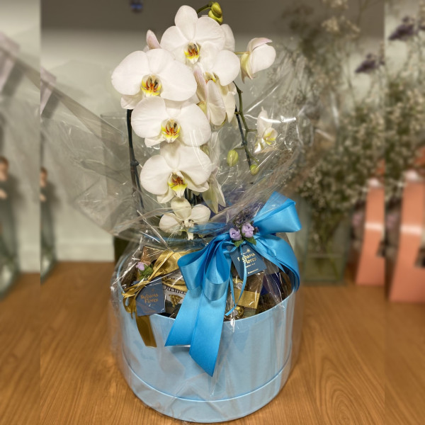 Cesta Presente Orquídea | Ikebana Flores