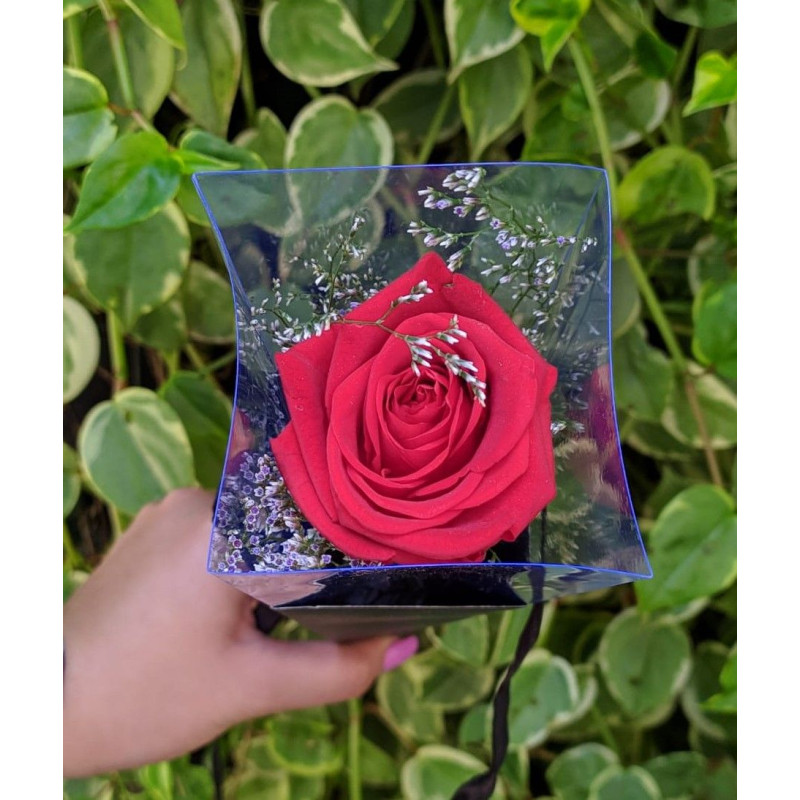 Envio para todo Brasil de Rosa Preservada e Flores Online BH MG