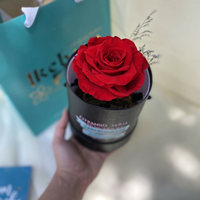 Box rosa eterna Premium | Ikebana Flores