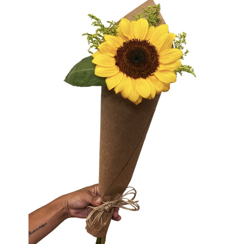 Cone de Girassol | Ikebana Flores