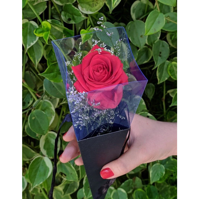 Envio para todo Brasil de Rosa Preservada e Flores Online BH MG