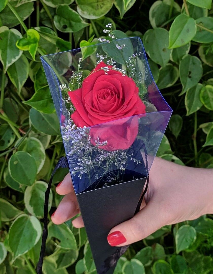 Envio para todo Brasil de Rosa Preservada e Flores Online BH MG