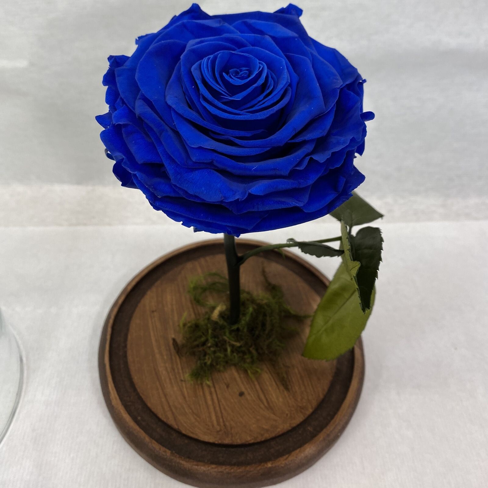 Rosa Eterna Azul GG | Ikebana Flores