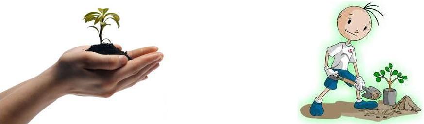 Plante uma árvore parque Gandarela MG - Ecologia