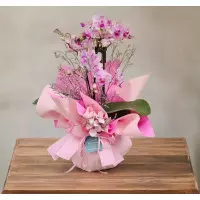 Mini Orquídea rosada