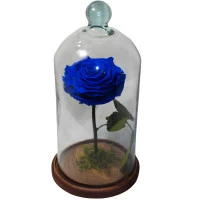 Rosa Eterna Azul GG | Ikebana Flores